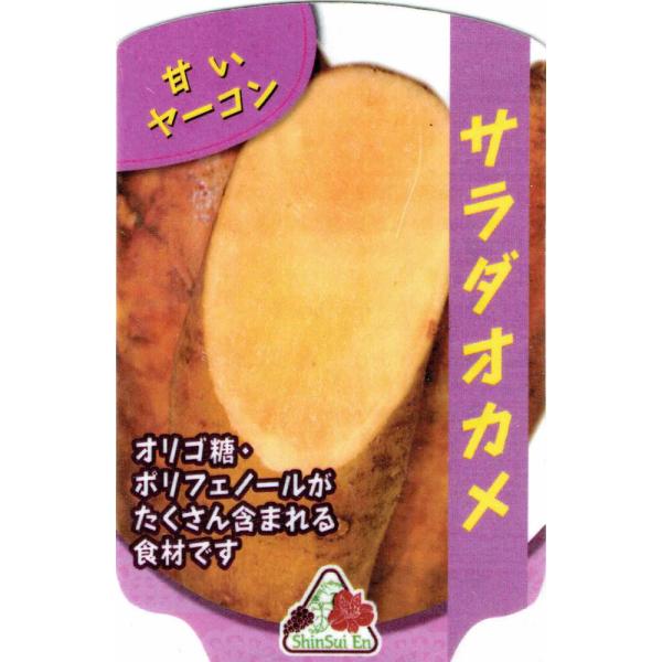 育てやすいイモ類で、食物繊維やオリゴ糖が多く含まれていると言われています。生ではシャリシャリとした触感があり、サラダにも使えます。甘いヤーコンで、オリゴ糖・ポリフェノールがたくさん含まれる食材です。