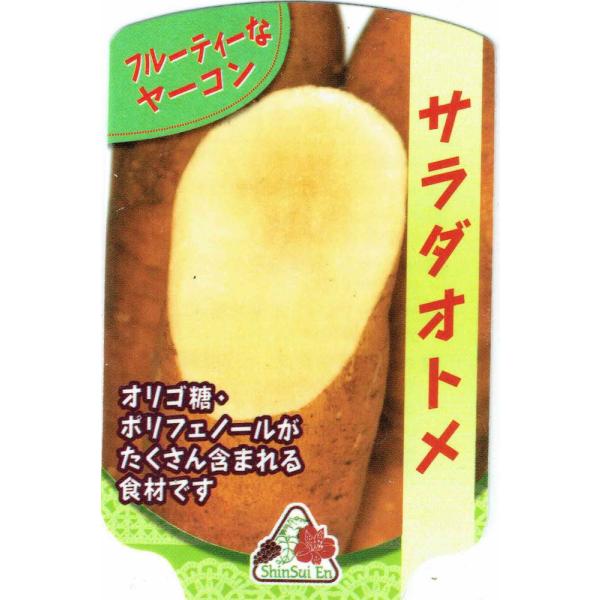 【発売日：2020年03月25日】育てやすいイモ類で、食物繊維やオリゴ糖が多く含まれていると言われています。生ではシャリシャリとした触感があり、サラダにも使えます。フルーティーヤーコンで、オリゴ糖・ポリフェノールがたくさん含まれる食材です。