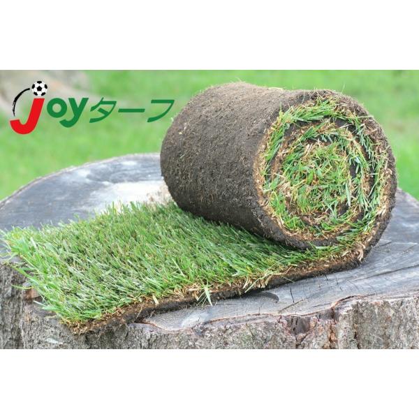 サッカー場を始め、競技場、公園、家庭の芝等、幅広く使用できる芝生として、株式会社那須ナーセリーが独自にブレンドをして生産しているソッドです。草種はトールフェスクとケンタッキーブルーグラスの混合です。トールフェスクは地下茎を持つ新しい品種を採...