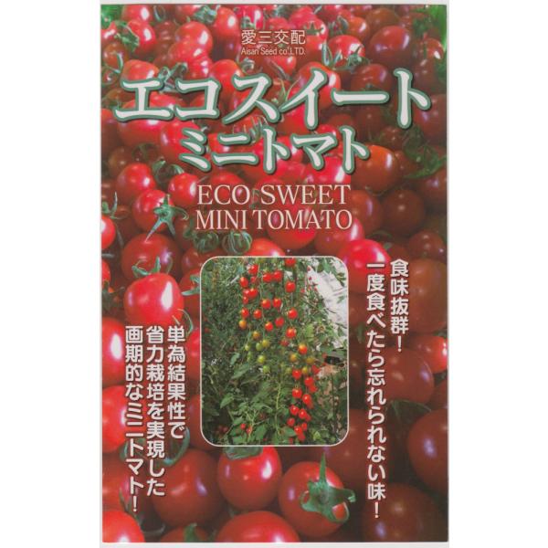着果性の良い単為結果性ミニトマト。比較的、裂果は少なめ。糖度が高く味の濃い食味で、肉質はやや粉質で食べやすい。種子が入ると大きくなりやすい性質があるが、平均20g程度。樹はやや細めだがスタミナがある。斑点病、葉カビ病(Cf4)の抵抗性あり。...