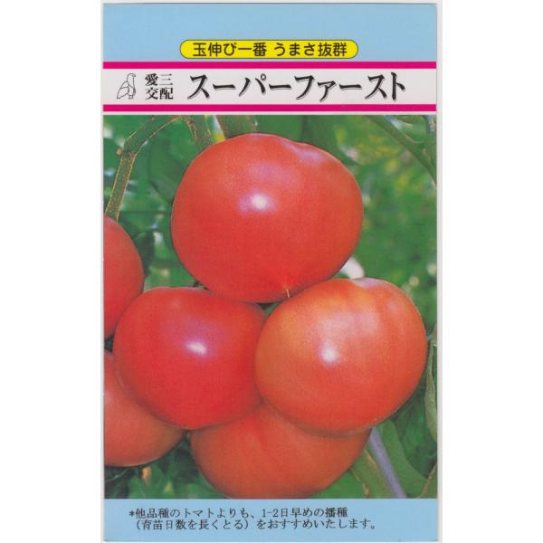 本種は愛知ファーストに、萎ちょう病(FR-1)・根腐れ萎ちょう病(J3)TMV(Tm-2型)・アルターナリア茎枯病に抵抗性を有する。第一段着果節位は低く、生育熟期は早生である。着果及び果実の肥大は良好で、平均230~250gに肥大する。果実...