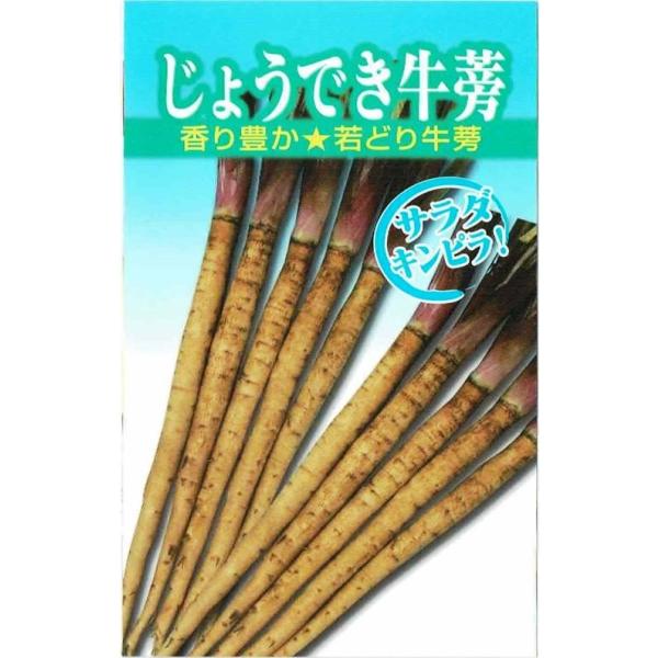 白肌美形の超極早生種で香り高く、風味の良い若どり専用のゴボウです。播種後、最短70日前後で収穫となり、根長30〜40cm、根径1.5cm内外のスリム型で、肉質やわらかく、食物繊維も多く、サラダ向き。通常のゴボウと比べ、長さが半分なので、抜き...
