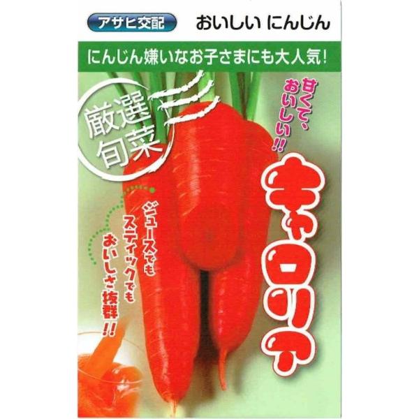 抗酸化作用のあるカロテンが、当社従来品種よりも多く含まれます。越冬してから食べるとより甘くておいしい！（中間地・暖地）もちろん、煮物などにも最適です。春・夏蒔き兼用の中生種です。