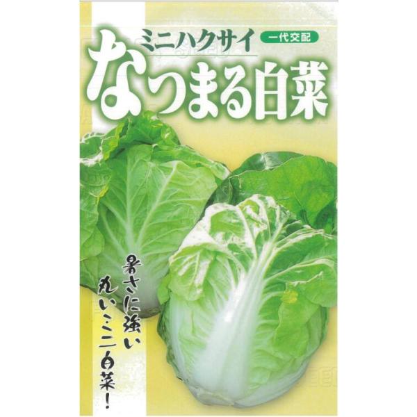 玉の大きさ16×18cm、重さ1.2〜1.4kgで葉色は鮮緑色（球内色は白色）。耐暑性があり夏播き、晩夏〜秋穫りの作型に適する。播種後60〜65日で収穫が可能。食味はみずみずしく繊維質が少ないのでサラダなどの生食や浅漬けに向く。