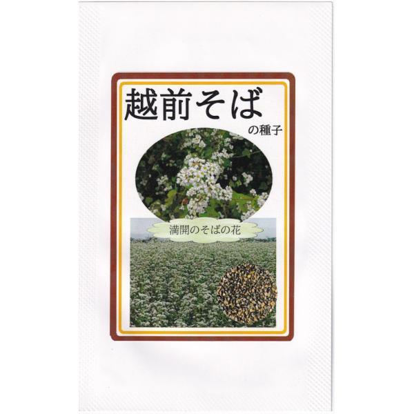 そばの種子,そばのタネ,ソバの種子,ソバのタネ,蕎麦の種子,蕎麦のタネ,越前そばの種子,越前そばのタネ,越前ソバの種子,越前ソバのタネ