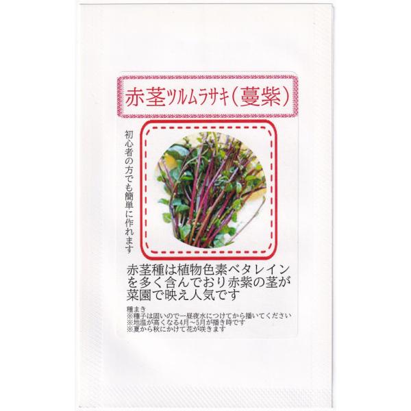 初心者の方でも簡単に作れます赤茎ツルムラサキの種子,赤茎ツルムラサキのタネ,赤茎つるむらさきの種子,赤茎つるむらさきのタネ,蔓紫の種子,蔓紫のタネ