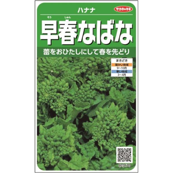 正月を飾る黄色の「菜の花」は、早春の訪れを感じさせます。ビタミン・ミネラル類を豊富に含み、暮れから春先まで蕾や花、若い葉を利用する緑黄色野菜です。<br><br>[【種子】][【野菜】][【花野菜】][JAN: ]