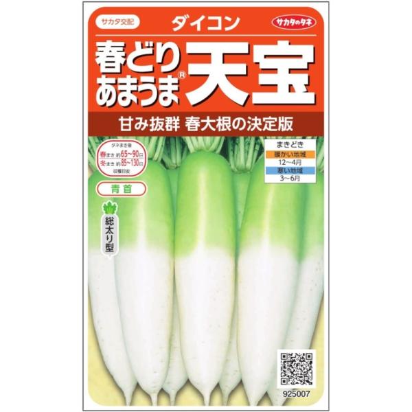 トウ立ちがごく遅い青首総太りダイコンです。葉はやや黄葉でコンパクトにまとまり、低温期にとくに尻部の肉づきがよく、肌にテリがあります。ス入りは少なく、肉質がよく、食味が優れています。<br><br>[【種子】][【野菜...