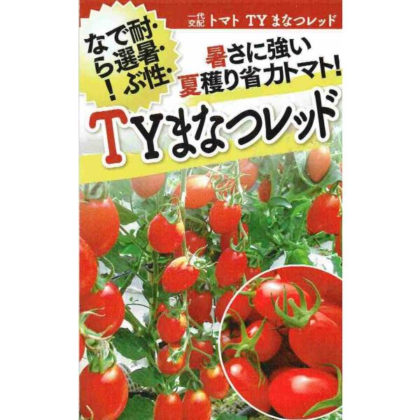 春まき初夏〜初秋穫り専用の耐暑性プラム型ミニトマト。半芯止まり性で側枝（わき芽）の摘除が必要無く省力栽培が可能。果重約17g、糖度は約8度になり甘味と酸味のバランスが良い。