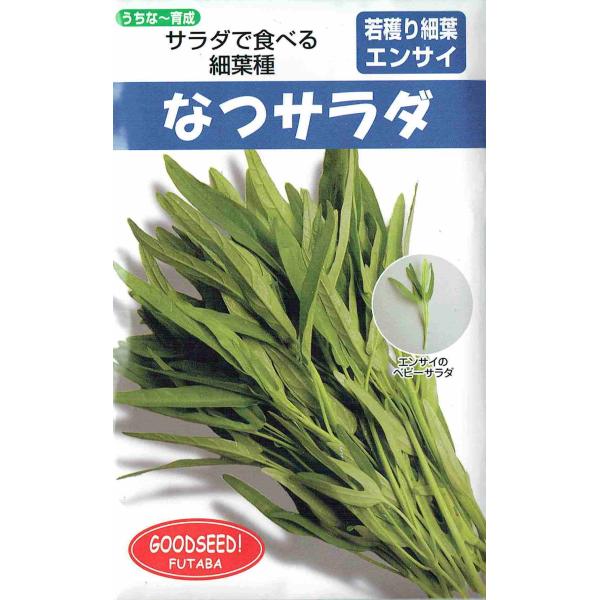 生でも食べられる新しいタイプのエンツァイです。細葉で極立性、クセがないので生のままサラダとして利用できます。若取りするので栽培期間が短く、刈り取った後も新芽が出てくるので繰り返し収穫が楽しめます。暑さに強く、夏場の葉物野菜として重宝します。...