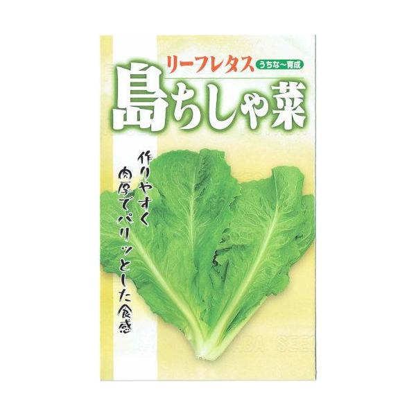 沖縄で人気のあるレタスの仲間で非結球タイプ。濃緑色の葉は肉厚で食感が良い。草勢強く株張りが良い。病気や暑さや寒さに強く栽培が容易。サラダでもちろん、加熱調理してもおいしい。外側の葉からかきながら長期収穫が可能。