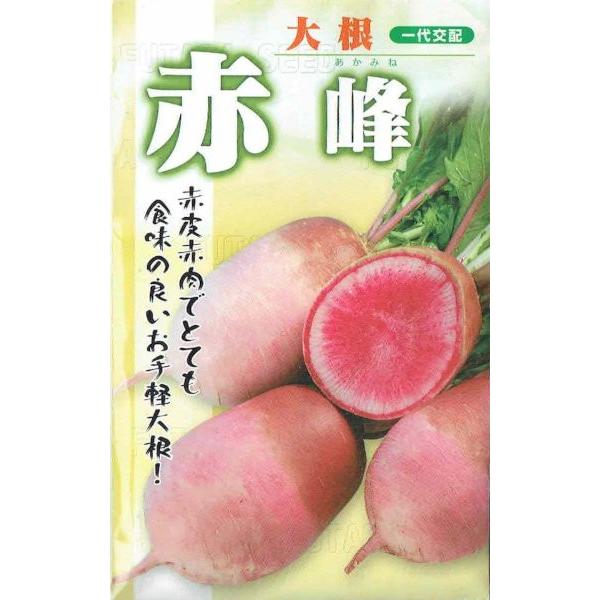 外皮、切り口とも鮮やかな赤紫色で、ほのかな甘みと辛みがあり食味を重視したおいしい大根。根重500〜800gの使い切りサイズ。根重600gの場合、根長約12cm、根径約10cmの楕円形をしている。葉は板葉で葉大根としても利用できる。