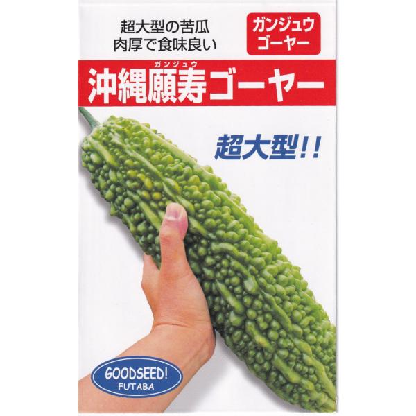 超大型で果長約30~35cm。果重は平均で約500gになる。肉厚で食味までも良い。薄くスライスしてサラダに。チャンプルーの具として炒めものに。豊富に含まれているビタミンCは熱を加えてもこわれにくい。夏バテ防止に最適。