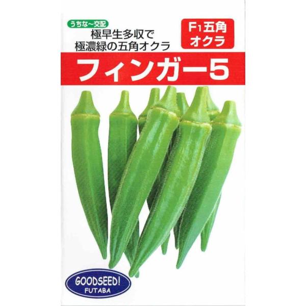 極早生のF1五角オクラ。着果節位が低く、特に生育の中〜後期には花がダブルで着くので収量が非常に多い。果色は極濃緑色でつやがあり莢の曲りやイボ果は非常に少ないので秀品率が高い。小葉で期間がつまり密植栽培が可能。