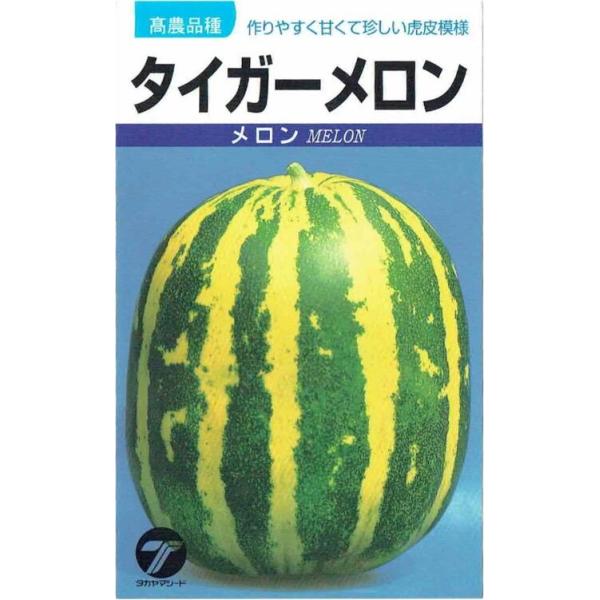 外皮は黄金地に十条内外の濃緑縦縞のある短楕円形で果肉は淡緑色、果重350g位。花痕は小さく珍しく特異な甜瓜で、糖度香りともニューメロン同様で、肉質よく歯切れもよい。草勢強く栽培も容易であるが熟期がやや晩生であるため完熟果になるまでの日数が必...