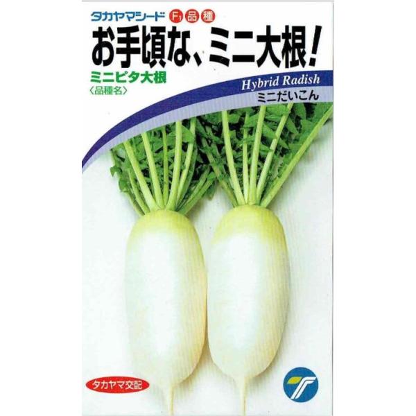 本種は辛味・風味のある、おろし用に適する秋まき大根の一代交配種である。草姿は半立性を示し、生育旺盛で、葉はやや濃いめで光沢がある。根形は短筒形で、生育日数は適期まきで約65日で、根長は20cm余り、根径7cm位となる。根の揃いが抜群によく、...
