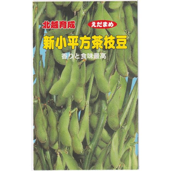食味が抜群で多収。草丈50cm前後、大莢で豊産、着莢が多くて、みばえがよい。ゆであがりの色が鮮緑色で甘味、香り共に優れ食味は最高。生育日数は5月中旬蒔きで90日、夏至以降に蒔く時は生育期間が短くなるので密植多肥栽培が必要です。