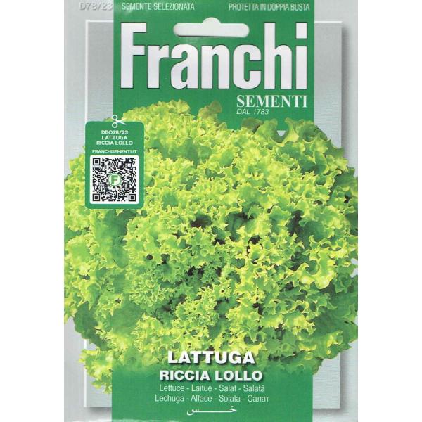 早生種、ライムグリーンの爽やかな色と葉のチリチリカーリー具合がなんともかわいらしい品種です♪葉は柔らかく、歯ごたえ良く、赤のロロロッサとコンビでサラダやデコレーションに使って映えます。春から初夏のファーマーズマーケットでは定番の品種です。結...