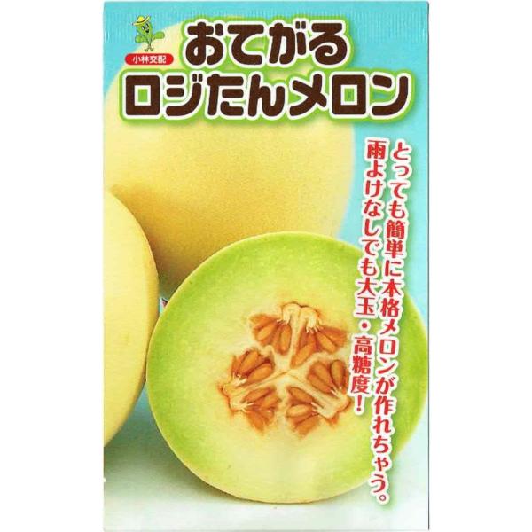 栽培容易で雨除けなし放任栽培でも収穫できる白皮ノーネットメロン。登熟日数は40日で極早生品種。果重は1.5?2.0kgで肥大性に優れる。果肉は緑白色で緻密、糖度14?17度。収穫後の日持ちにも優れる。