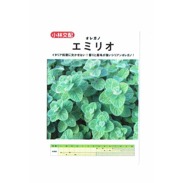 ・播種後 80~90日から収穫できる多年草のハーブです。・草丈 40cm程度、葉は灰緑色の楕円形で香りと風味が強いです。・トマト・チーズ・肉料理等と相性抜群です。オレガノの種子,オレガノのタネ,おれがのの種子,おれがののタネ,エミリオの種子...