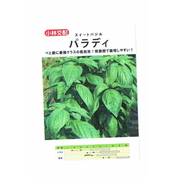 ・ベと病に対して強い抵抗性を持つ。・草姿はコンパクトだが葉が大きい。・強健で栽培適応範囲が広い。・抽苔が遅く、長期間収穫できる。スイートバジルの種子,スイートバジルのタネ,すいーとばじるの種子,すいーとばじるのタネ,パラディの種子,パラディ...