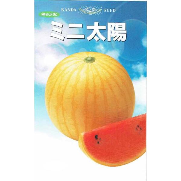 正球形で黄色の皮に濃黄色の縞が入ります。果肉は明紅色。種子は黒色。果重は1.8〜2.5ｋｇ。着果前から葉脈が黄色くなり、草勢がおとなしく感じられますが、肥大が優れているので、果実を多めに着果させ、上記の果重に抑えます。登熟日数は3月着果で3...