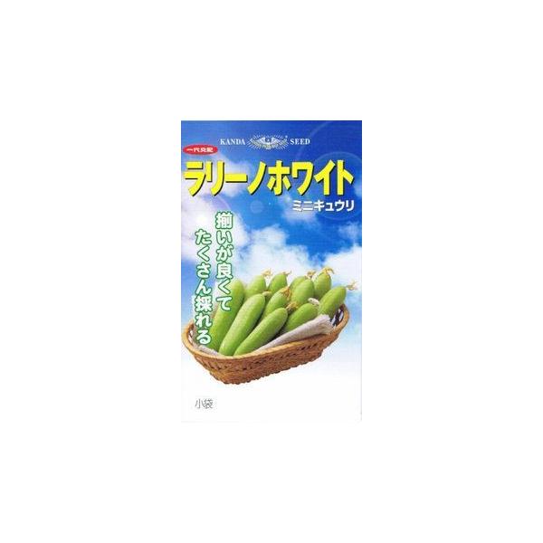 揃いが良くてたくさん採れる、うどんこ病に抜群に強く、作りやすい。減農薬栽培に適する。果長9〜10cm、果重40〜50g前後の手のひらに乗るサイズで収穫するのがベスト。側枝が旺盛に出るので、株間をやや広め（60cm以上）にとると良い。完全節成...
