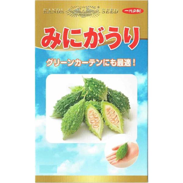 ニガウリは普通20cm〜30cmに生長しますが、「ミニガウリ」は果長が5cm〜6cm、果重が30g〜40gと、手の平に乗る超ミニサイズです。小型の紡錘形で、イボが隙間なく詰まり、適当な弾力があります。極端な苦みは出にくいので、料理の材料とし...