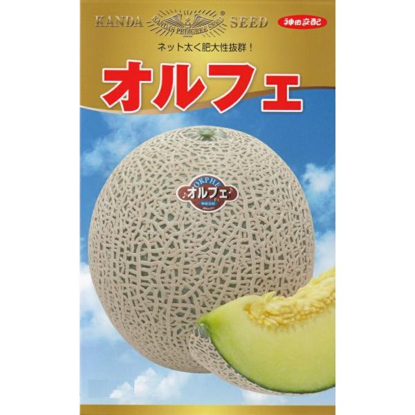 中~大葉で主枝はやや太く、草勢も強い。花の着生着果が優れ、裂果や変形がなく、上物率が極めて高い。肥大性に優れ、1.5~1.8kgの正球形になる。綾角果はない。果皮は灰緑色で、ネットは太く盛り上がり安定して発現する。果肉は淡黄緑で肉厚。肉質は...