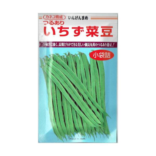 白種子白花で、節間が短く、病害に強いつるあり菜豆です。収穫はじめはケンタッキーワンダーより4〜5日早い中早生種です。長期間、最後まで上物が安定して得られる多収品種です。18〜20cm位の、鮮緑色の若干ふくらみをもった美しい丸長莢で、曲り莢は...