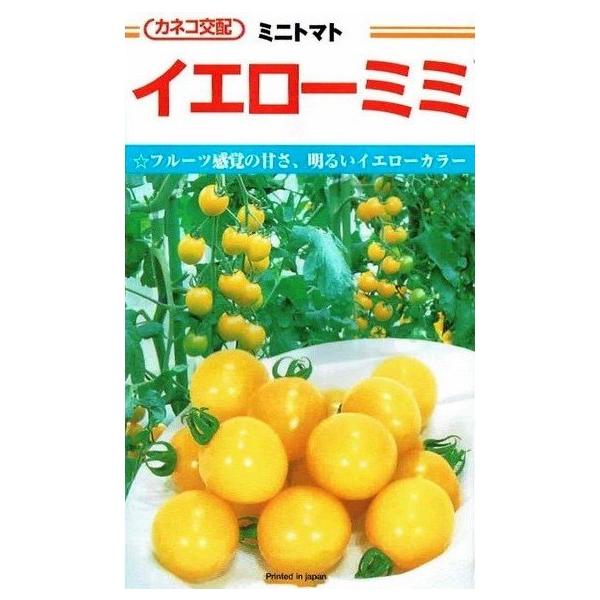 食味良好で、鮮やかなレモンイエローに着色します。平均果重15g位、球形でM・L率が高いです。裂果が非常に少なく、果実の大きさの揃いが良いので、クズ果の発生が少ないメリットがあります。ToMV（Tm-2)、萎凋病（レース1）に耐病性のミニトマ...