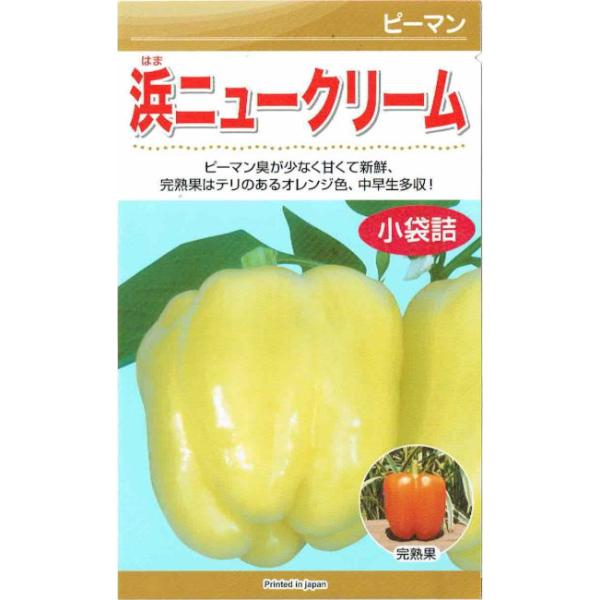 国内では珍しい、クリーム色のピーマンです。中早生種で、果は、最初からクリーム色に着色し、完熟果はオレンジ色に変化します。果形は、獅子型で、一部尖り果が見られますが、小果（50g前後）から大果（100g以上）まで、いつでも収穫できます。果は、...