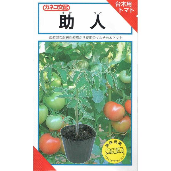 ・低温時期の重要病害である根腐萎凋病（J3）、褐色根腐病（コルキールート）に対して安定した耐病性を有します。・その他、青枯病、萎凋病（レース1・2）、半身萎凋病、サツマイモネコブセンチュウにも安定した耐病性を示します。・胚軸が太く、接木操作...