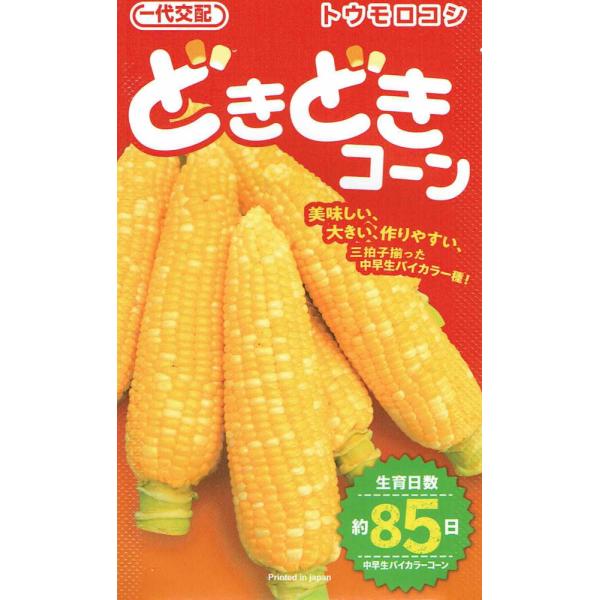 ・トンネル〜露地栽培に適する生育日数85日程度のバイカラーコーンです。・発芽、初期成育がよく、倒伏にも強い、作りやすい品種です。・穂重は450〜500g程度で大きく、先端不稔と露出が少ないです。・黄と白の大粒で、列揃いがよく、形の良い穂です...