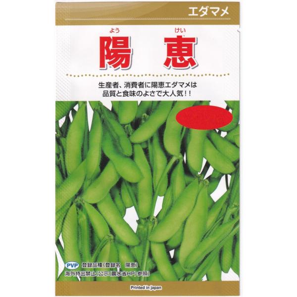 鮮緑色の大で着莢がよく食味のよい白毛早生品種です。草丈は、直播栽培で40cm前後。徒長せず、倒伏しにくいです。莢は大きく、3粒莢の比率が極めて高いです。茶豆風味の芳香と、甘みがあります。