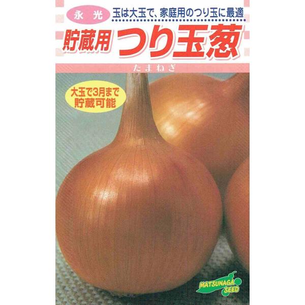 9月中下旬播種、11月上中旬定植で5月下旬〜6月収穫となる貯蔵向き晩生種です。甲高でしまりの良い玉葱で、玉も大きく、300g以上も可能です。大変萌芽が遅く、腐敗も少なく、3月まで貯蔵可能で大変好評です。