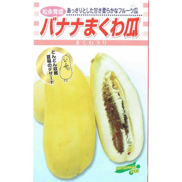 フルーツのようなあっさりとした甘みと、バナナのような柔らかな食感が特徴のまくわ瓜です。果実は果梗近くがやや細い楕円形で、果皮はバナナに似た明るい薄黄色、果肉は白色で、肉質は緻密で柔らかいです。開花から35〜40日で収穫となりますが、完熟する...
