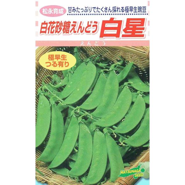 サヤエンドウの中でも特に甘味のある砂糖豌豆の白花種です。莢は10節より着生する極早生種で、双莢性も高く、また節数も多いためたくさんの莢が着生、収穫できます。莢の大きさは8.5×1.3cm、濃緑で粒の肥大も良い。中間地暖地では夏まき〜年内どり...