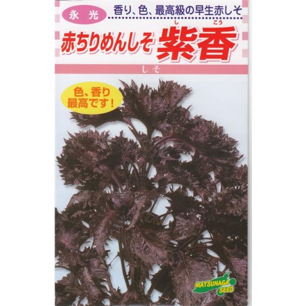本葉4葉まで縮みなく生育し、その後縮みが多くなる早生種です。葉の裏、表とも濃い赤紫色となり、色あい、芳香、品質は極上です。梅干しの色付に特に良く、穂じそ芽じそに利用可能です。