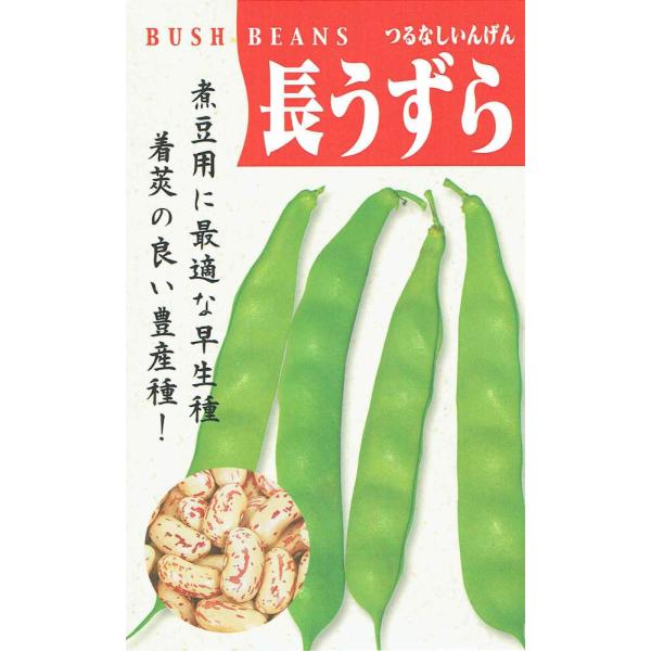生育の早い早生タイプ、サヤは緑色の平型、長さ12〜15cm位。若サヤはセンイ少なく柔らかで甘味、風味に富み食味最高。子実は長型で茶褐色の縞が入り煮豆用として人気があります。つるなしいんげんの種子,つるなしいんげんのタネ,ツルナシインゲンの種...