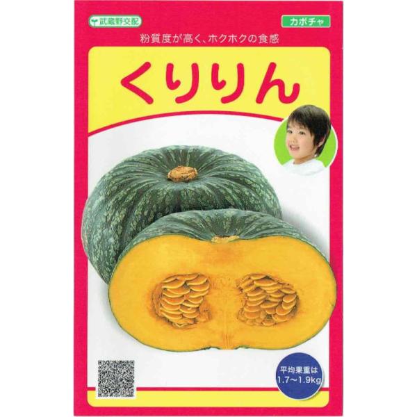 粉質度が高く、栗のようにホクホクした食感で、甘くおいしい。果肉は厚く、濃い黄色で食欲を促す高品質種。平均果重は約1.7〜1.9kgで、果形はやや腰高の扁円球。果皮は濃緑色の地に淡緑のチラシ斑が入り、変色遅く日持ち良好。環境に対する適応性高く...