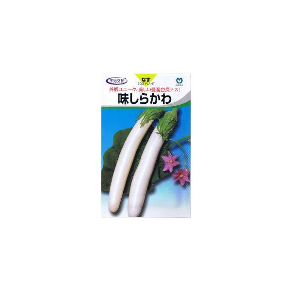 果長27cm 位になる白長ナスで、ヘタ部は 鮮緑色となり、大変美しい外観です 果肉は薄緑色、肉質は緻密でよくしまり、炒 め物煮物などに利用して美味です。 草姿は半立性で草勢は旺盛、着果性に優れ た豊産種です。又、曲がり果の発生は極め て少な...