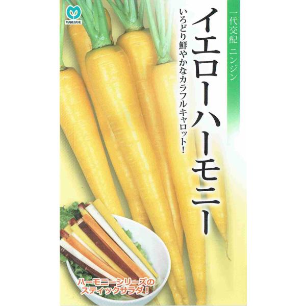 播種後120日前後で収穫する春・夏まき兼用の黄色人参です。根長は20〜25cm、直径は太いところで3〜4cmとなります。根色は鮮黄色で、内部まで美しい黄色となります。草勢は強く、揃いに優れています。いろどりを活かしてスティックサラダやジュー...