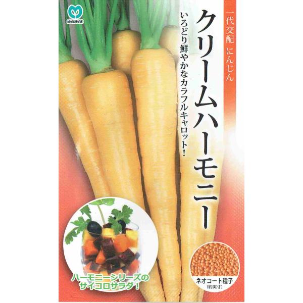 播種後120日前後で収穫する春・夏まき兼用のクリーム色の人参です。根長は20〜25cm、直径は太いところで3〜4cmとなります。根色は表面、内部ともにクリーム色となります。草勢は強く、揃いに優れた人参です。いろどりを活かして、スティックサラ...