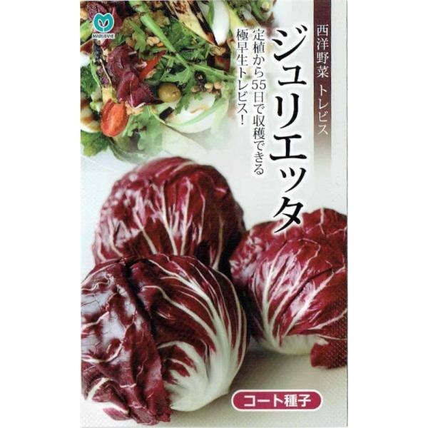 ヨーロッパ原産のチコリの一種でキク科の野菜です。定植後約55日で収穫できる極早生種です。球内色は濃い赤紫色となり、品質に優れ、揃いも良好です。極早生でありながら肥大性があり、収量性に優れます。秋蒔き栽培の他、晩抽性がありますので春蒔き栽培も...