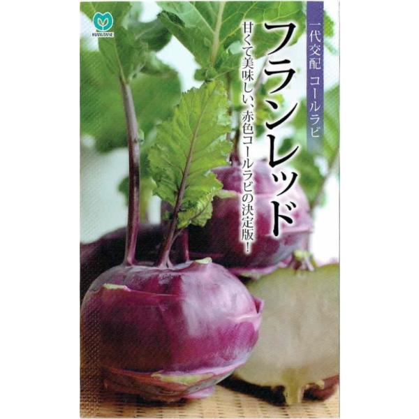 キャベツの仲間で、丸く肥大した茎を食べる野菜です。肉質はなめらかで、甘みがあります。生育は早く、球は美しい赤紫色の腰高の扁円形でよく揃います。ス入りの遅い品種で、暑さや寒さにも比較的強いので栽培は容易です。球径が5〜6cmほどになれば収穫で...