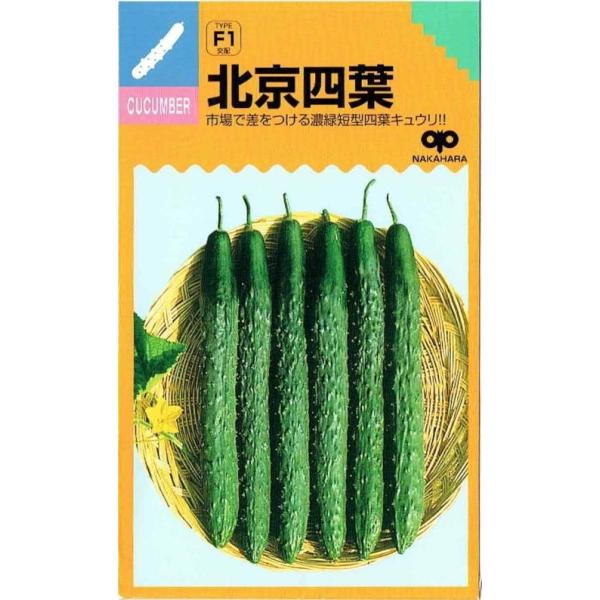 短型青長×改良四葉の一代交配種。耐暑性強く草勢の強い着果性抜群の濃緑短型四葉で、特に盛夏期の高温乾燥条件にも衰えは見られない。葉は鮮緑色の中葉、果の長さは27〜28cmが収穫適期で従来の山東四葉２号より可成り短い。肩はり胴はりも良く果の曲り...