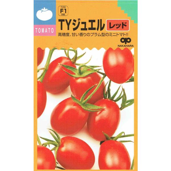 ●トマト黄化葉巻病（Ty-2）に対し耐病性のほか、トマトモザイク（Tm-2a）、萎凋病（F1）にも耐病性を示す。やや丸みを帯びたプラム型のミニトマト。●吸肥力が高く、生育旺盛。1花房に20〜25果着果する多収型。●下段より多く着果し、果重1...