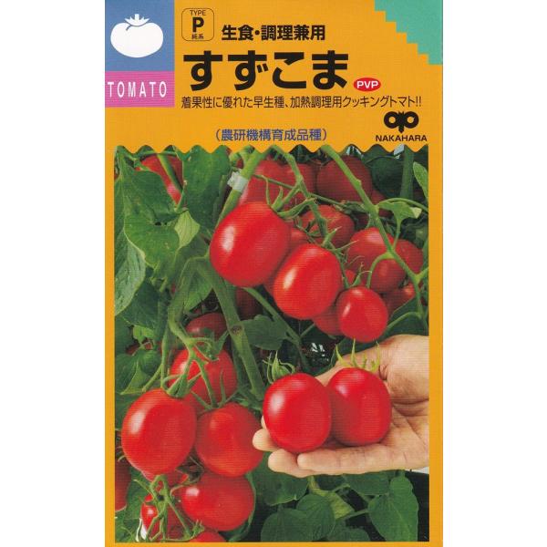 ●果重30〜40g、果実の水分含量が少なく、糖度に低めで、生食・調理両用トマト。加熱調理した時の食味や色が優れる。●卵形の赤系トマトで、リコピン含量は7.9mg/100g。●低段密植養液栽培用に育成された品種。●高密植（500〜1000株/...