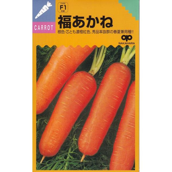 ●生育は早太りで春夏兼用できる晩抽性の五寸人参。●肌・芯色ともに濃橙紅色、根形はやや肩はりの円筒形で尻詰りにすぐれ、揃いがよく、秀品率が高い。●播種後105〜110日で、根長17cm前後で根重200g前後となる。●暖地の夏蒔き、年内トンネル...